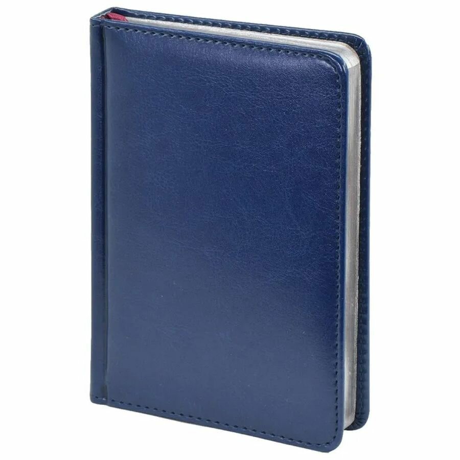 Ежедневник недатированный А6 110х155 мм Sidney Nebraska син. сер. об