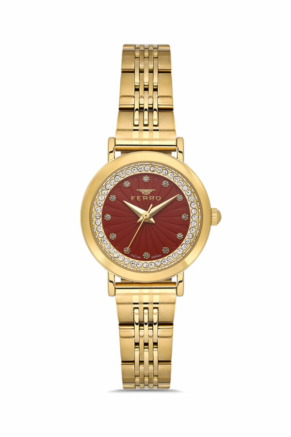Наручные часы Ferro