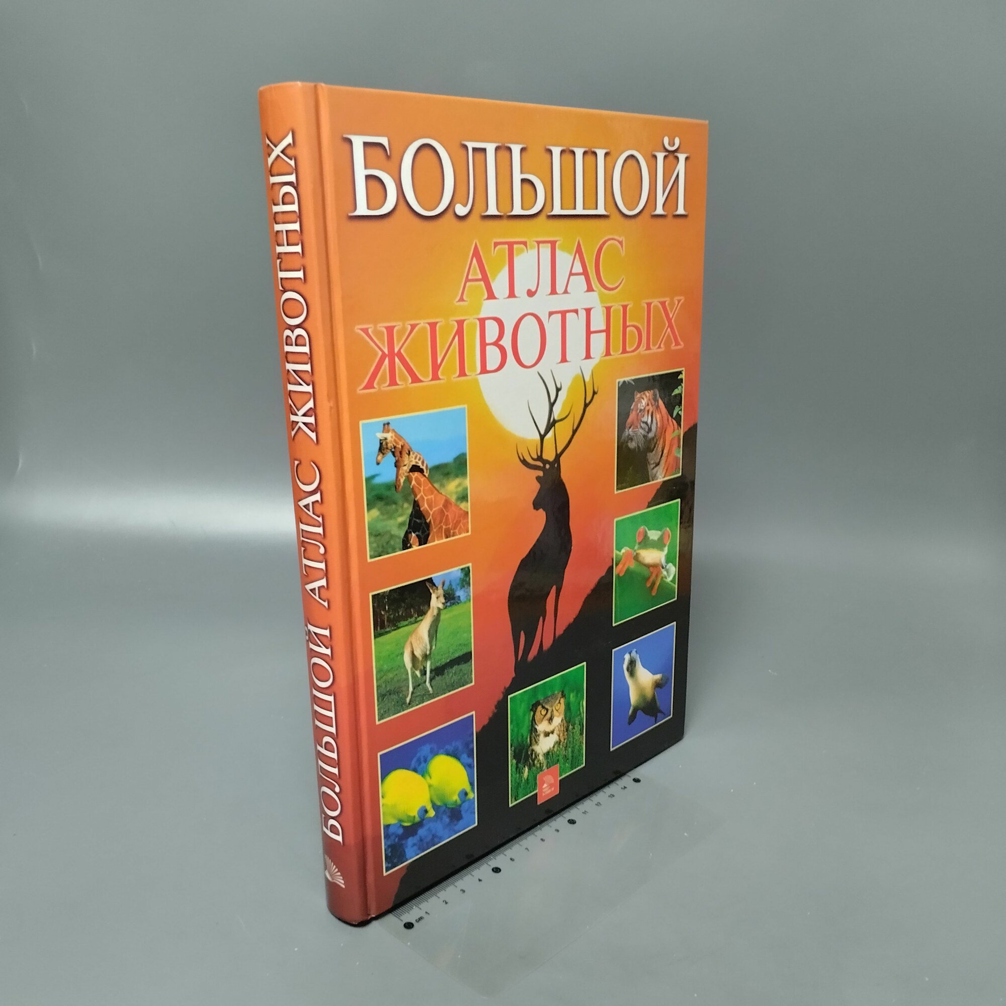 Большой атлас животных. 2006