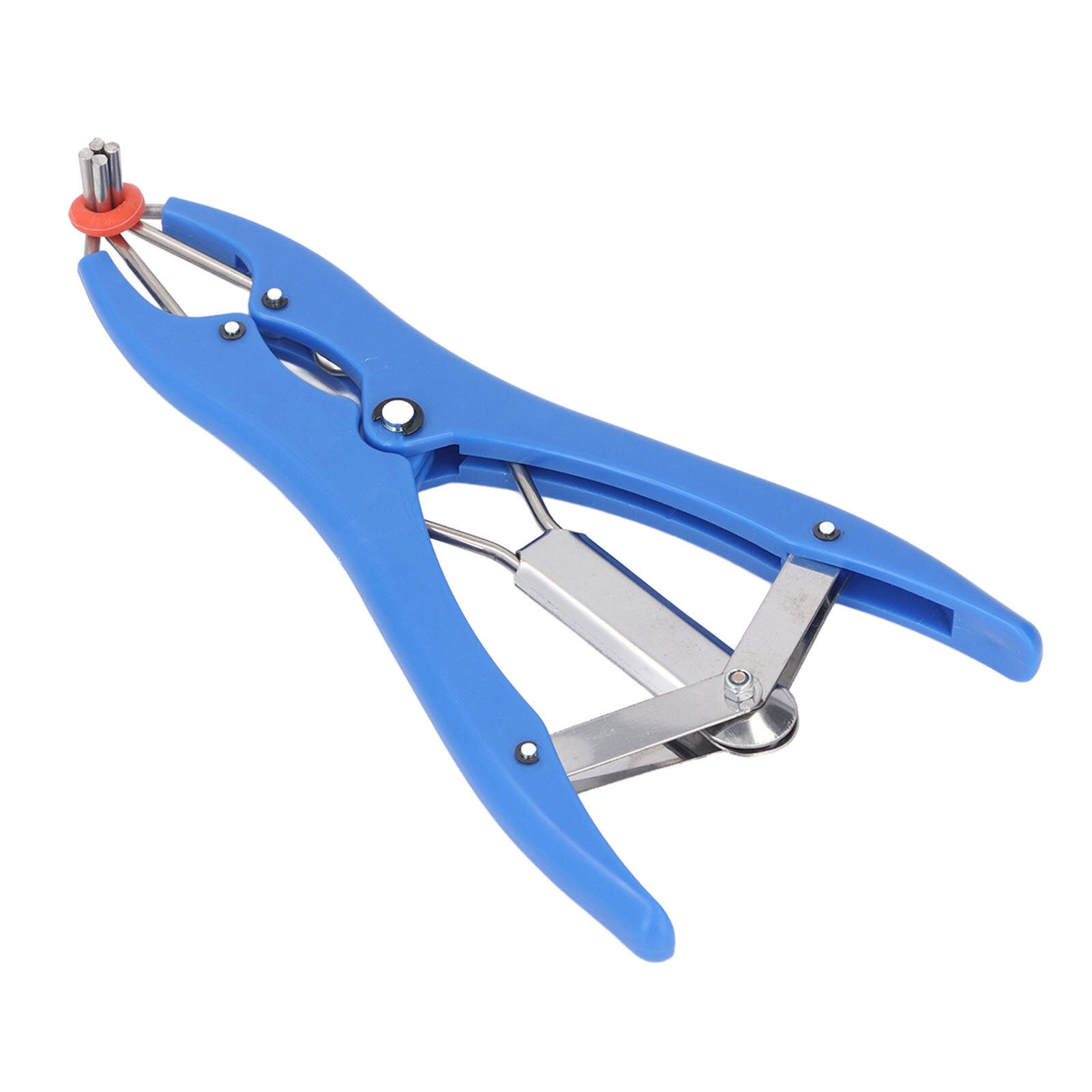 Кастрационный бандажёр из нержавеющей стали без крови с 100 шт. колец для кастрации, набор для бандажирования коз, телят, ягнят, животных