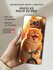 Чехол на Xiaomi Poco X3/X3 Pro / Поко X3/X3 Pro с принтом "Кот на велике"