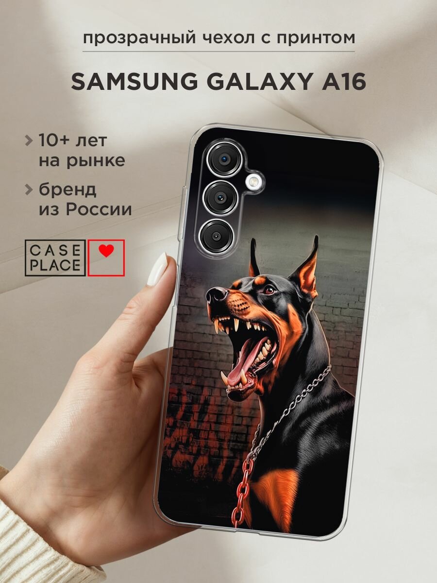 Чехол на Samsung Galaxy A16 / Самсунг А16 с принтом "Доберман с цепью"