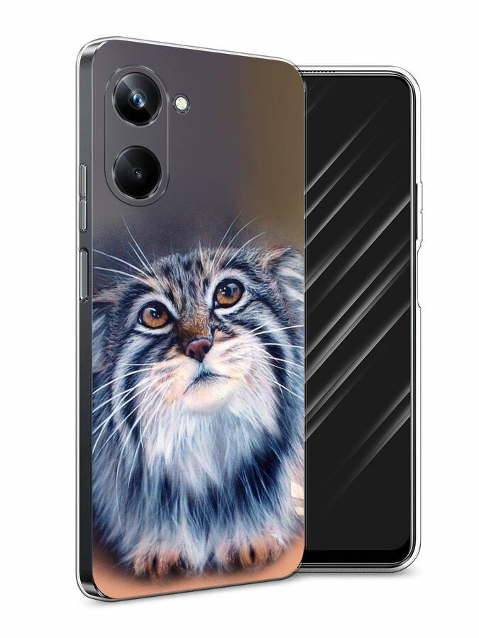 Чехол на Realme 10 Pro / Реалми 10 Про с принтом "Кот манул 2"