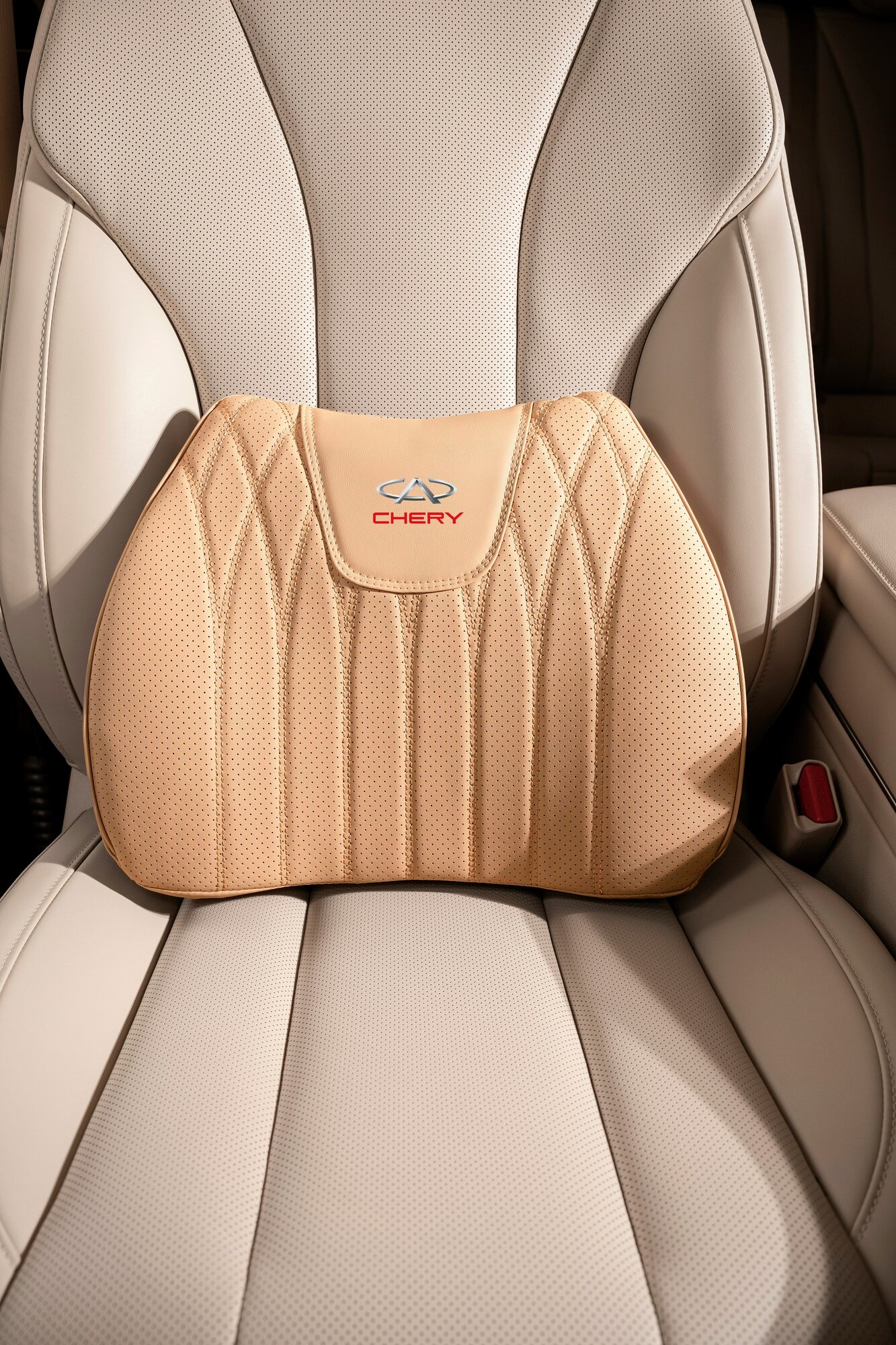 Ортопедическая подушка под поясницу (спину) для Chery