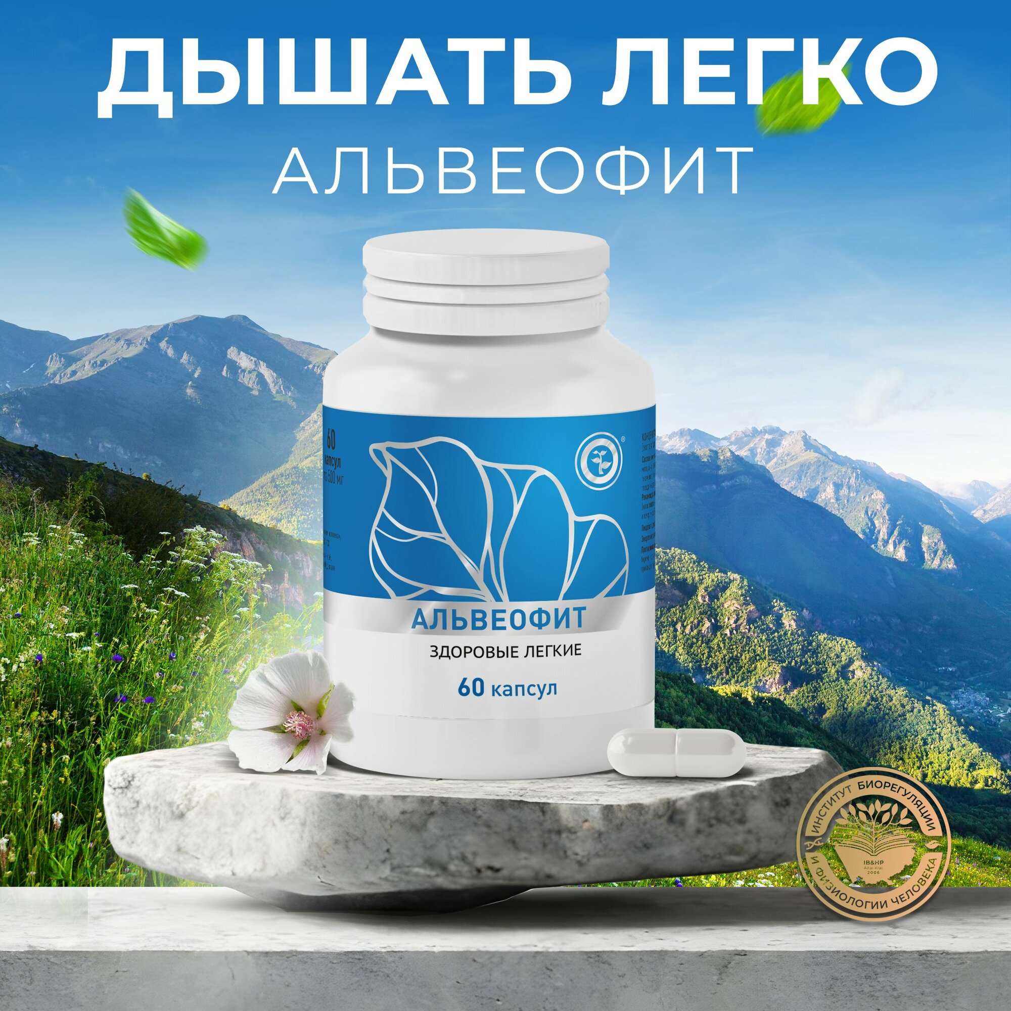 Концентрат "Альвеофит", для иммунитета и легких, 60 капсул по 500 мг