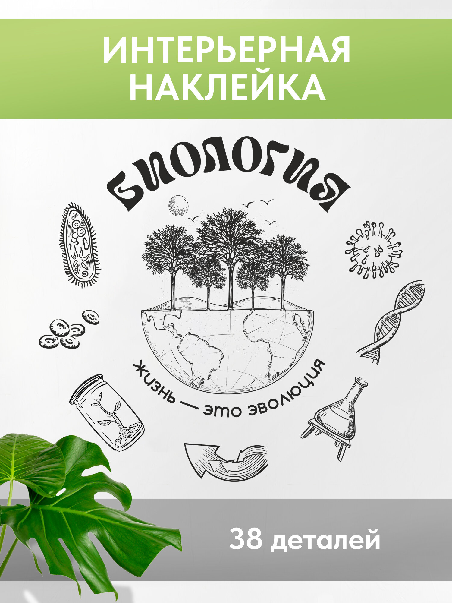 Интерьерная наклейка в класс биологии