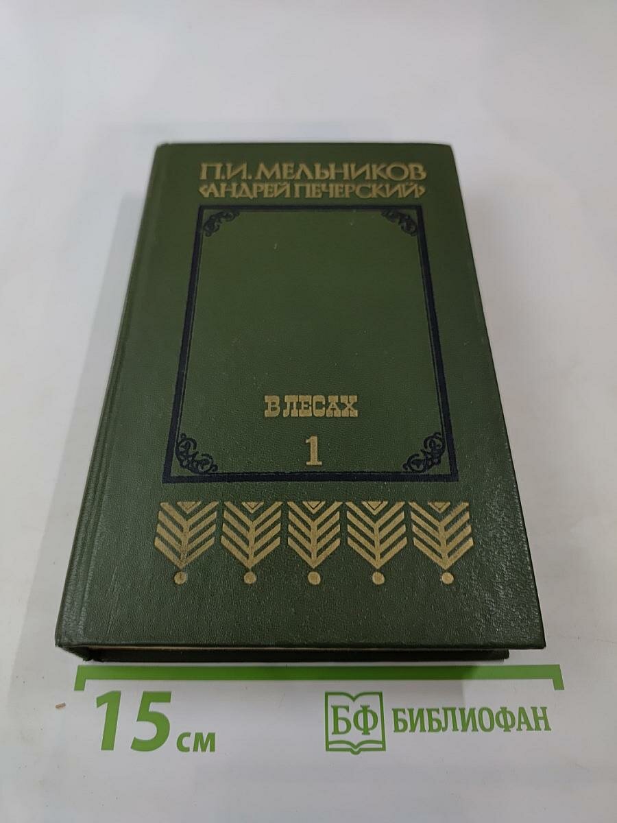 В лесах. Книга первая