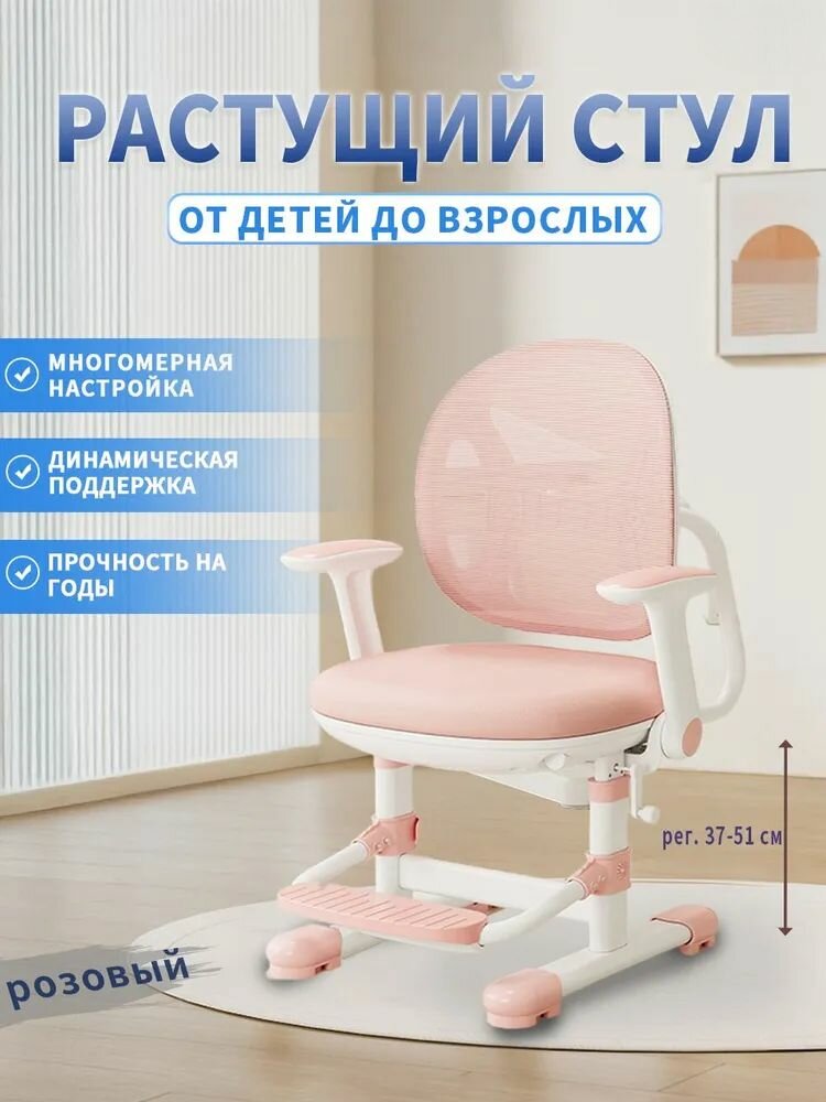 Детский стул для письменного стола и учебы 54x44x50 см дома — устойчивый, экологичный стульчик для детей от 3 лет