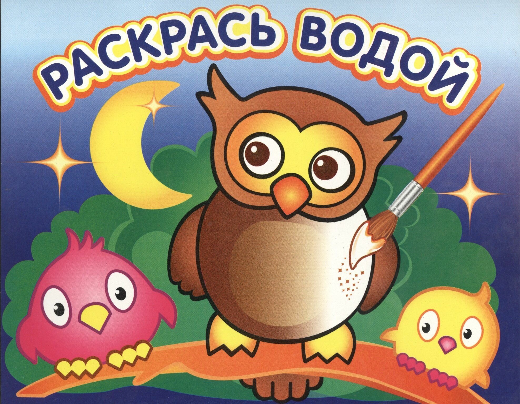 Мудрая сова (РаскрасьВодой)