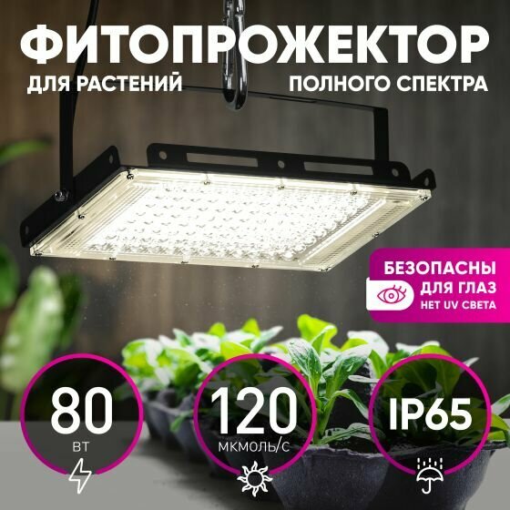 Фитопрожектор полного спектра 80 Вт IP65