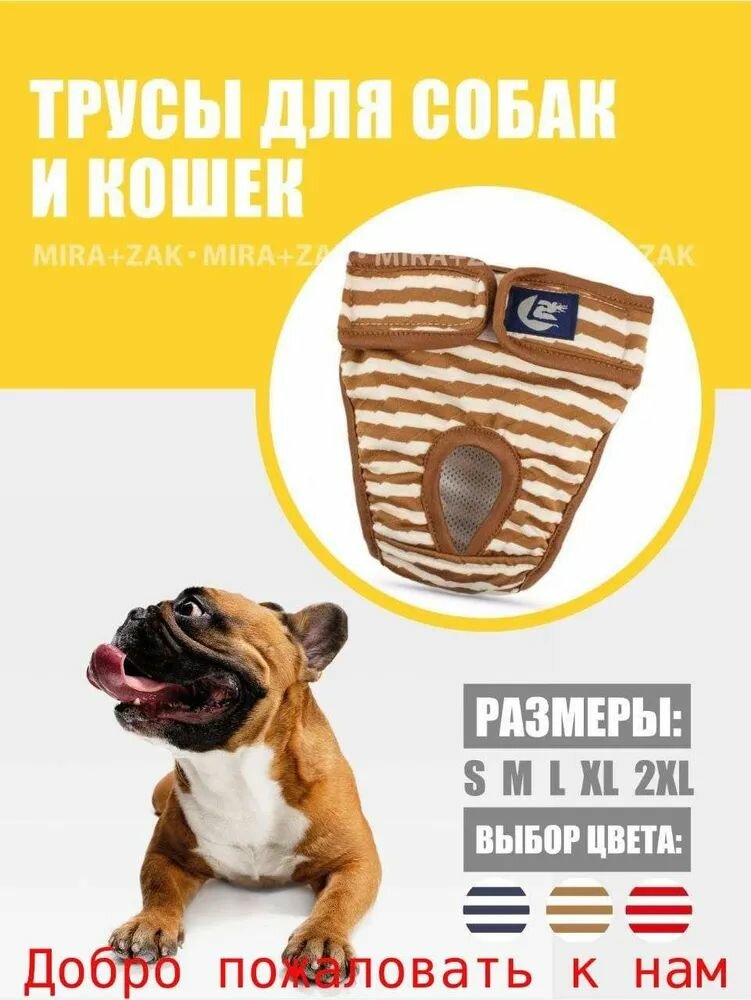 Трусы для животных на время течки бежевый в полоску M
