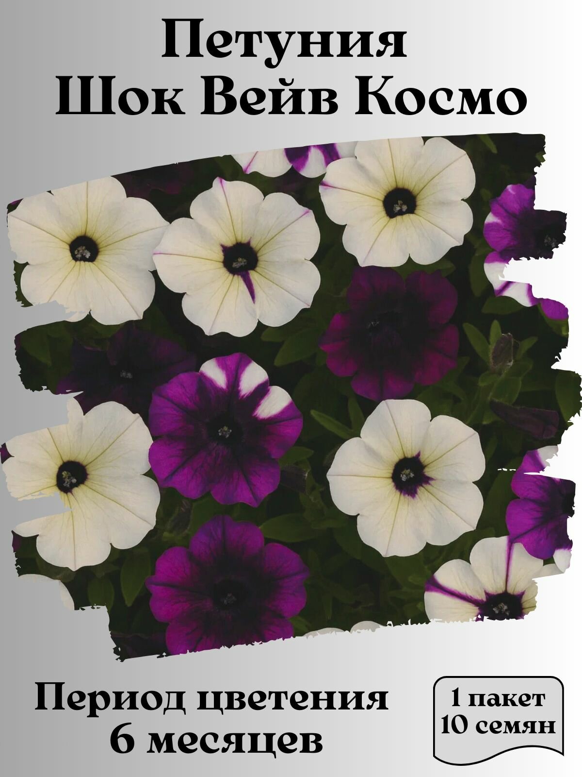 Петуния Шок Вейв Космо, семена, 10 шт, 15 гр.