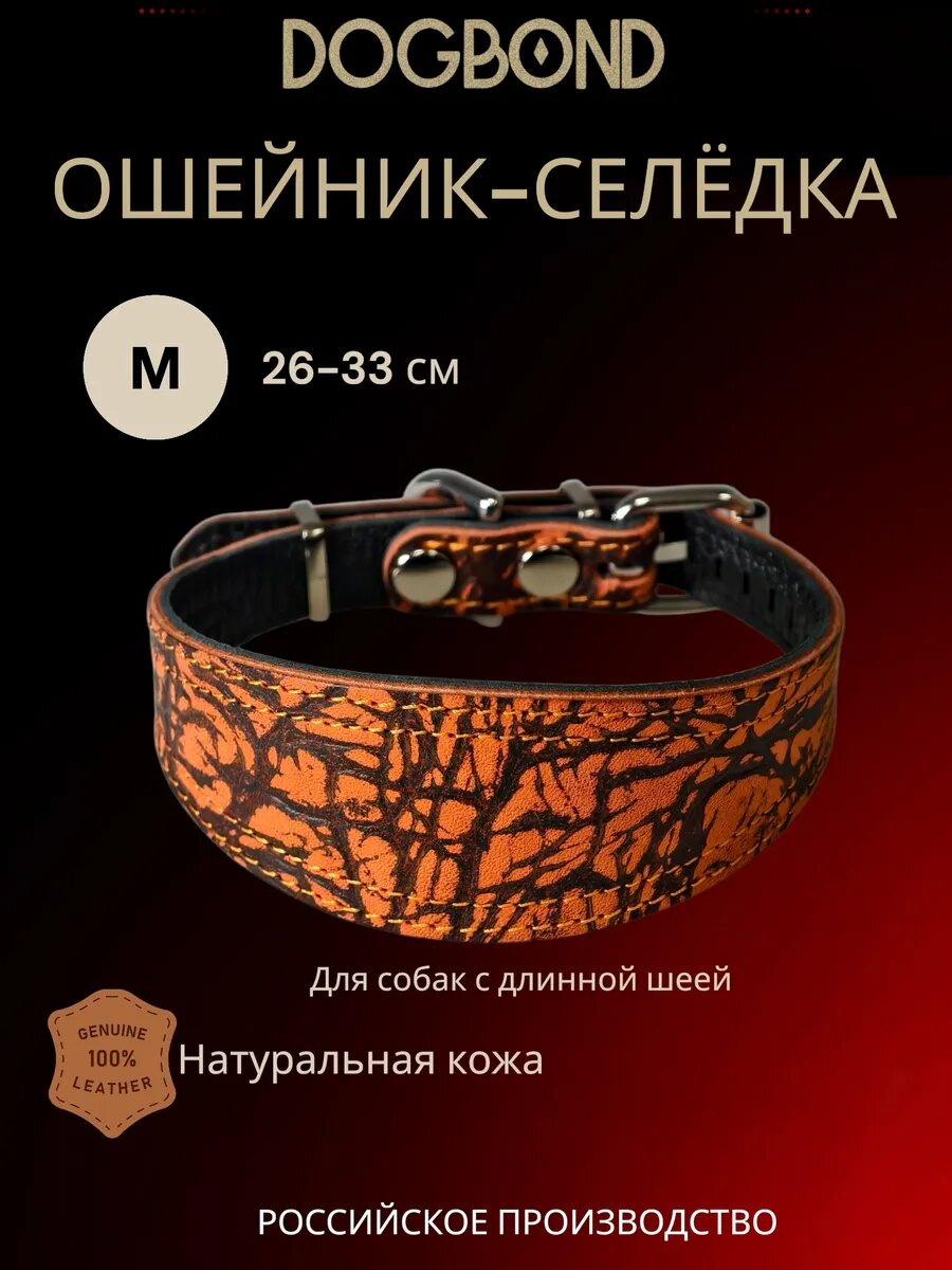 Dogbond ошейник-селедка для малых и средних пород