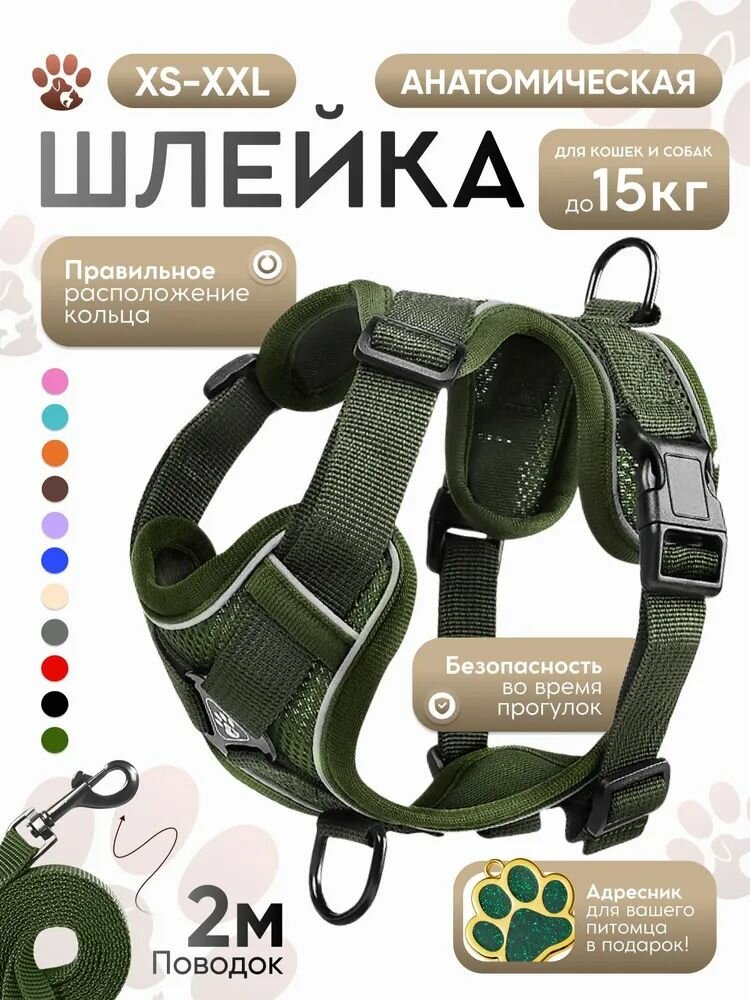 Шлейка для собак мелких пород анатомическая, с поводком 2 метра , размер XS, цвет хаки