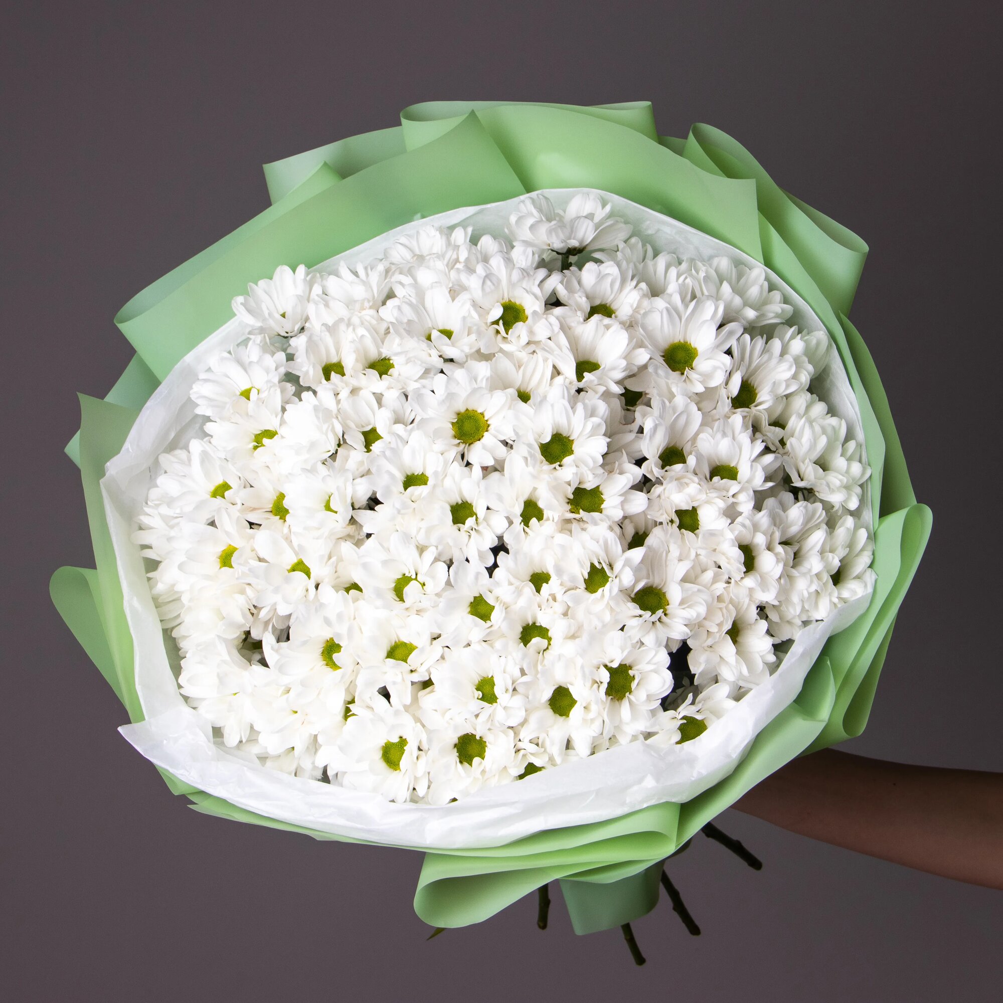 Букет Хризантема кустовая "Шик" 21 шт Высота 70 см в коробке и аквабоксе от "Простоцветы"