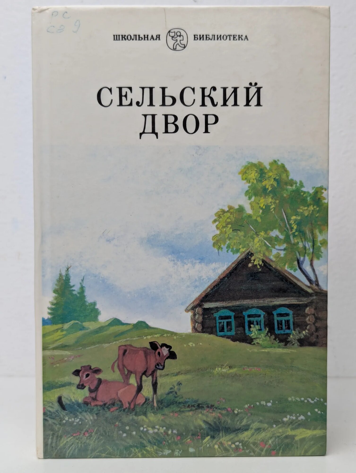 Сельский двор Леческая А. Н, Третьякова О. Б. 1987