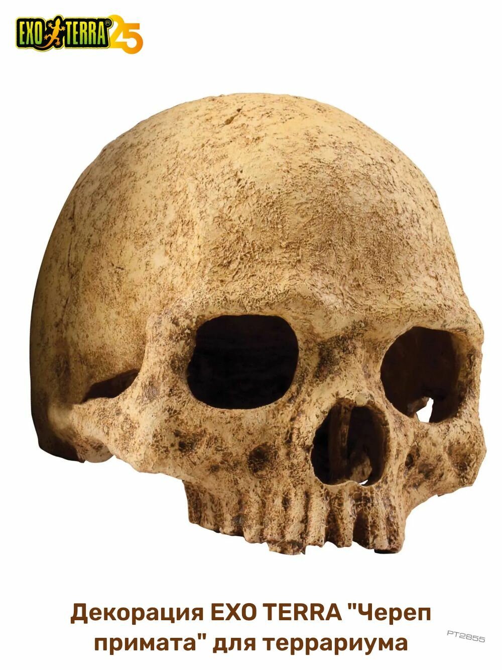 Декорация EXO TERRA "Череп примата" для террариума