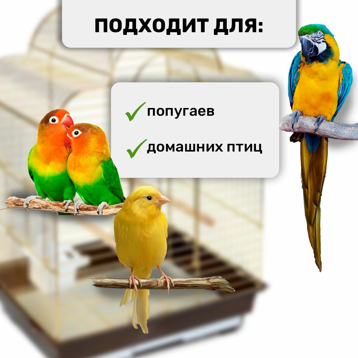 Коврики из соломы, Big Jungle, подстилка для грызунов, игрушки для грызунов и птиц, лежанка в клетку для кролика, сено, 3 шт