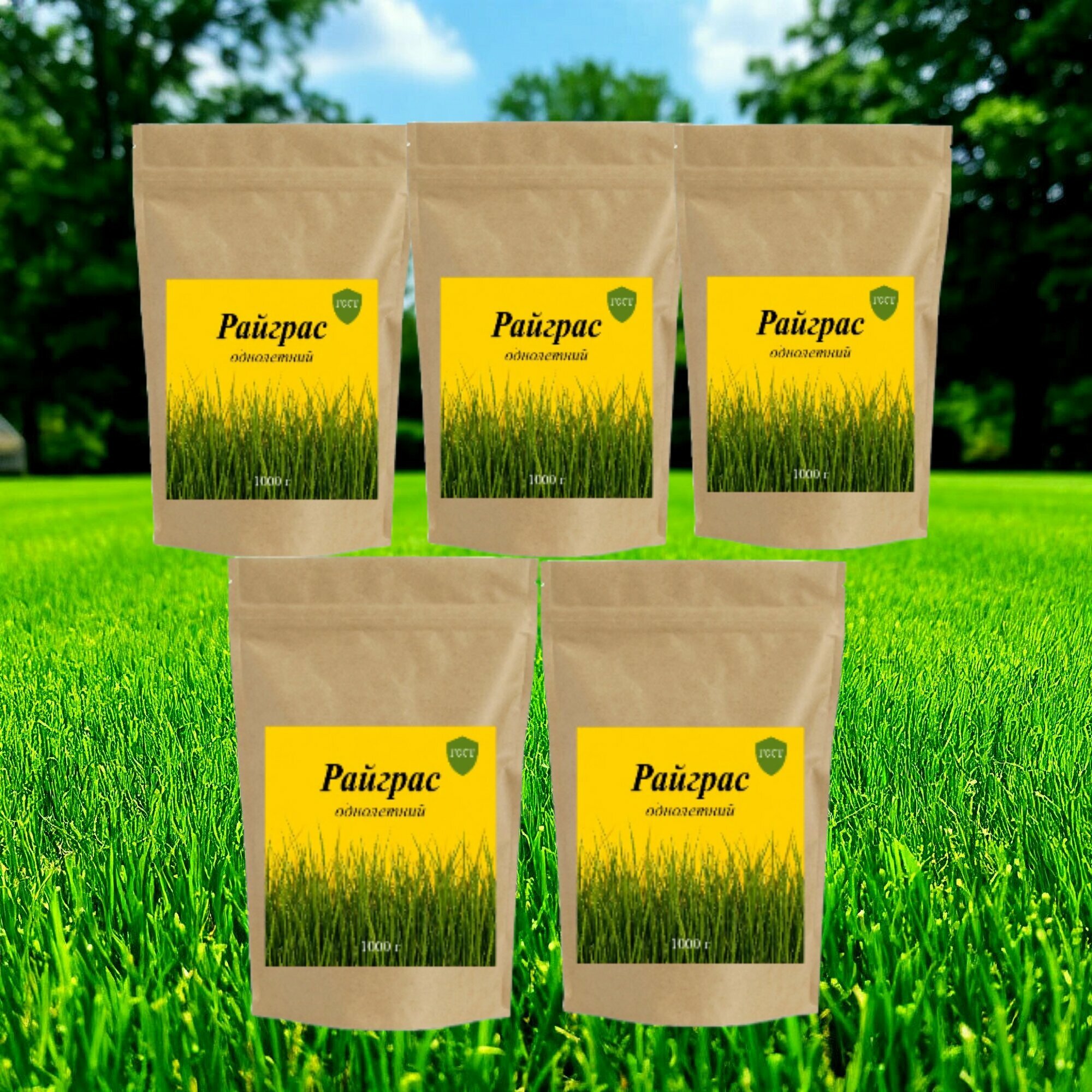 Райграс однолетний. Семена газонной травы 5 кг