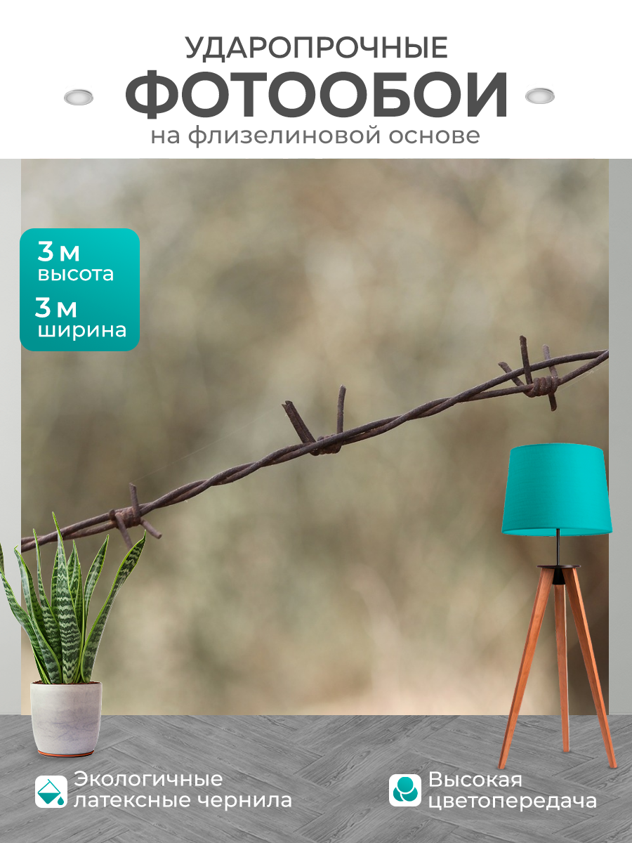 Фотообои моющиеся ударопрочные "Колючая проволока, провод, колючей проволоки" 300x300 см. флизелиновые на стену