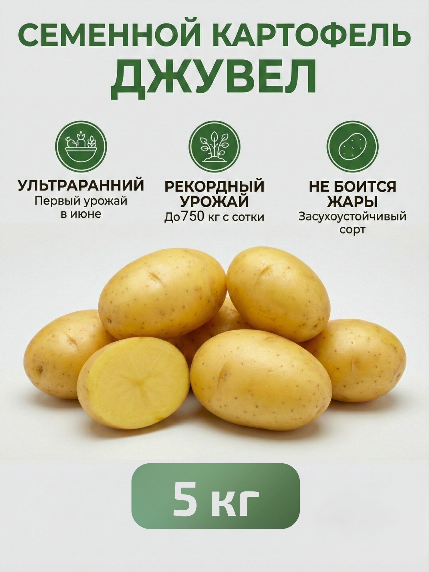 Картофель семенной Джувел 5 кг клубни на посадку ранний скороспелый сорт для варки, пюре, запекания