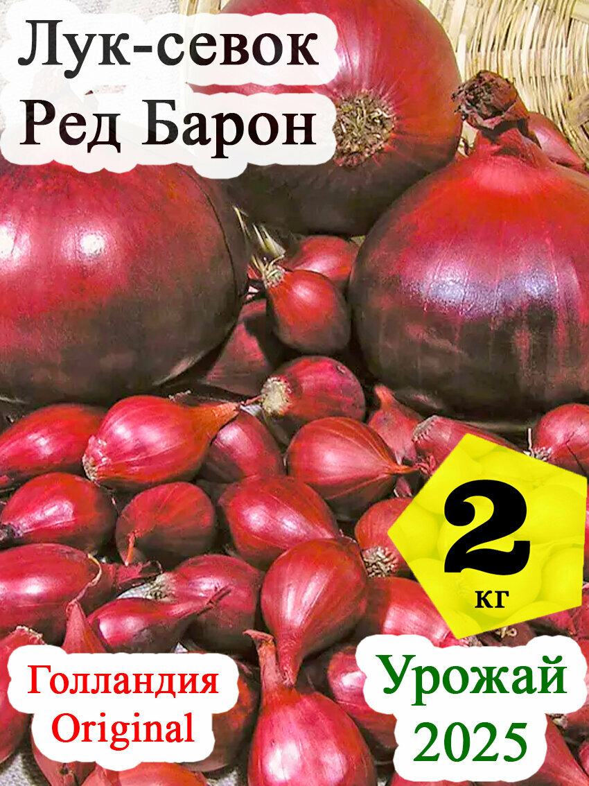 Лук севок Ред Барон 2 кг Голландия