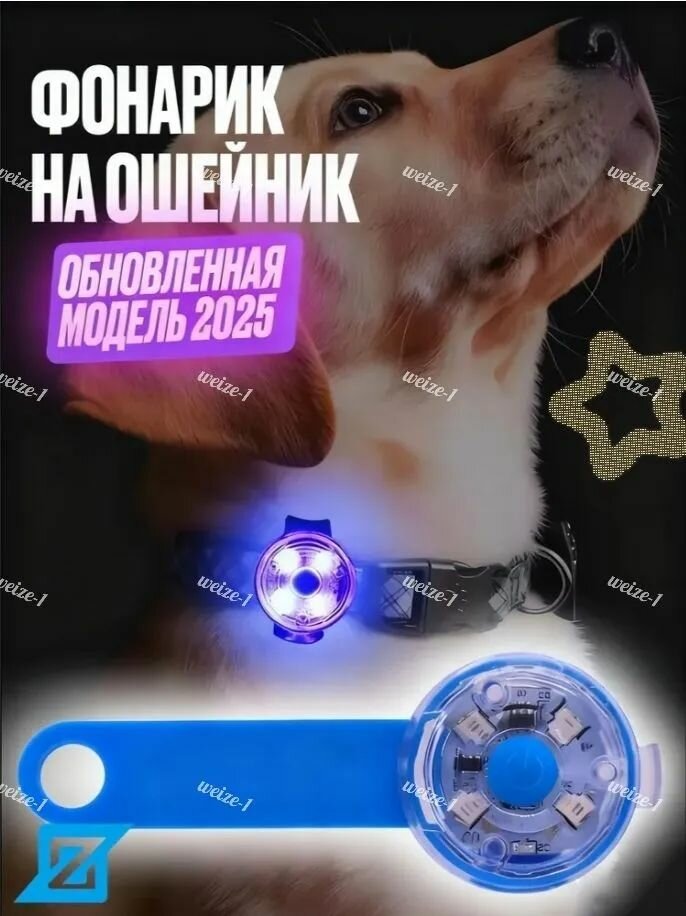 Фонарик для собак на ошейник. Светящийся брелок для собак