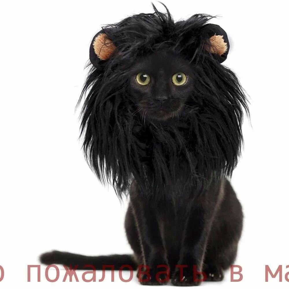Львиная манка для кошек - смешной костюм для домашних животных на Хэллоуин и Рождество, пушистый аксессуар для одежды питомца