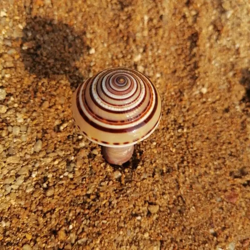 Набор раковин YQXH