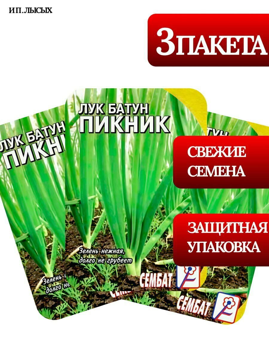Семена Лук батун "Пикник", 1 г