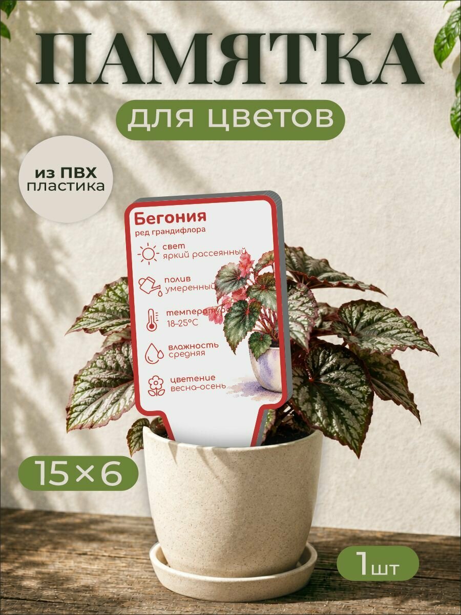 Фигурки для сада Бегония