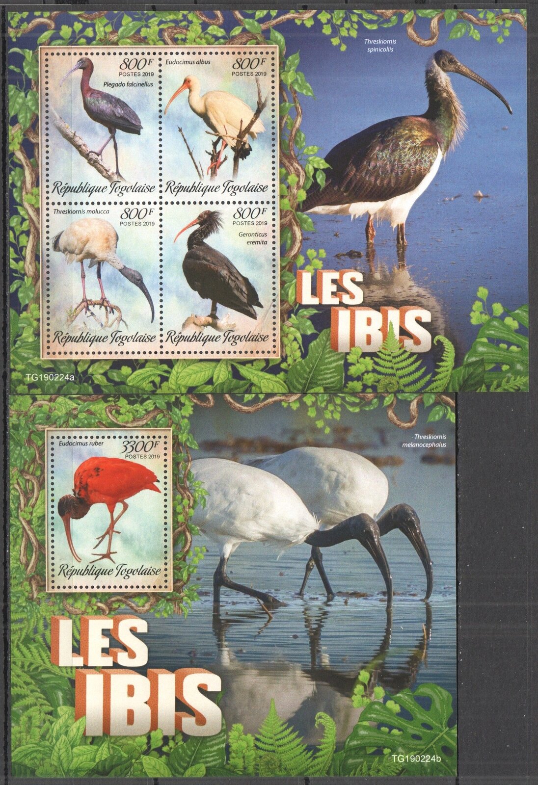 Марки 2019 год Того Ибисы Птицы Фауна #6896-6899+Bl1556 Mnh