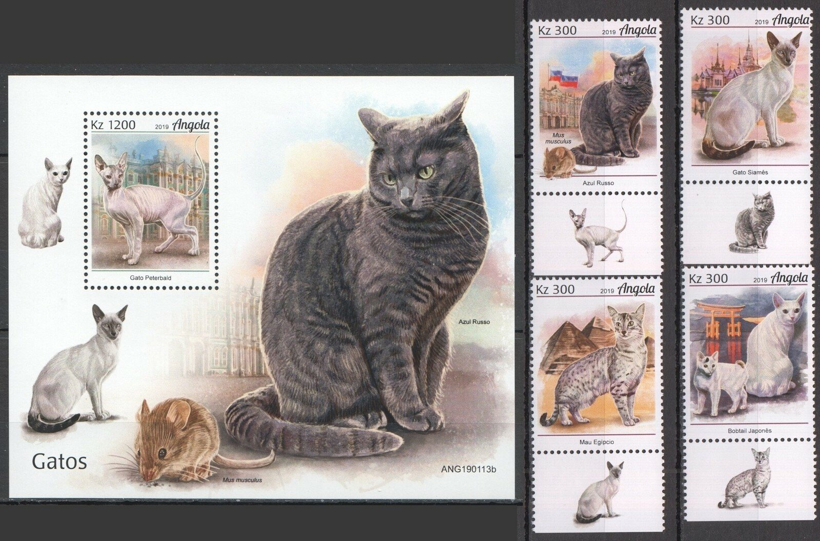 Марки 2019 год Ангола Кошки Домашние животные Фауна #2111-2114+Bl188 Mnh