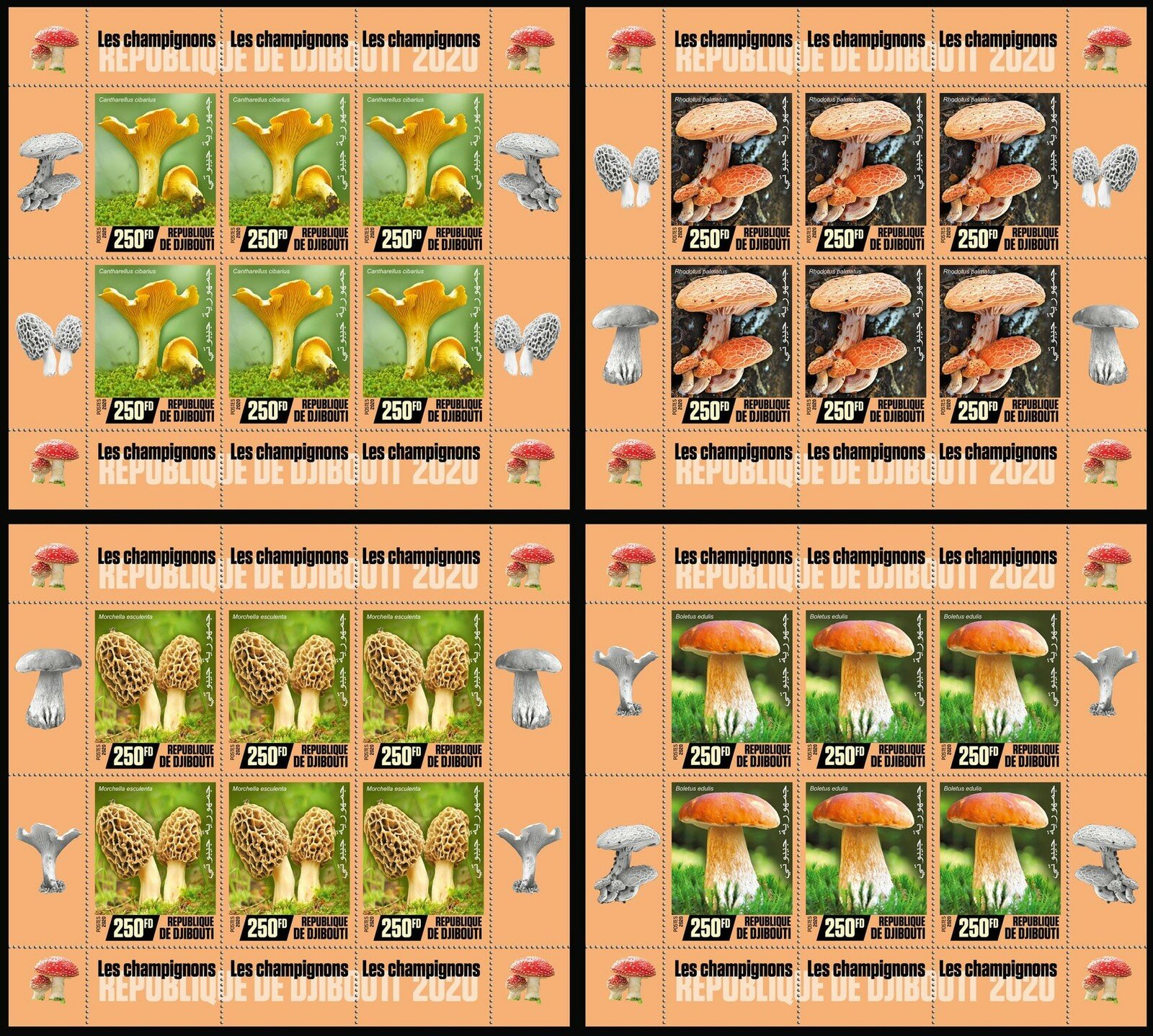 Марки 2020 год Джибути Грибы Флора Природа #3348-3351 ! 4 полных листа Mnh