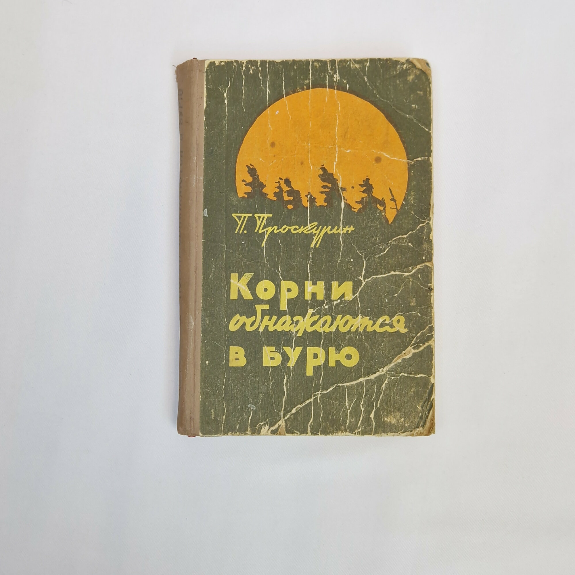 Петр Проскурин. Корни обнажаются в бурю. Книга СССР, роман