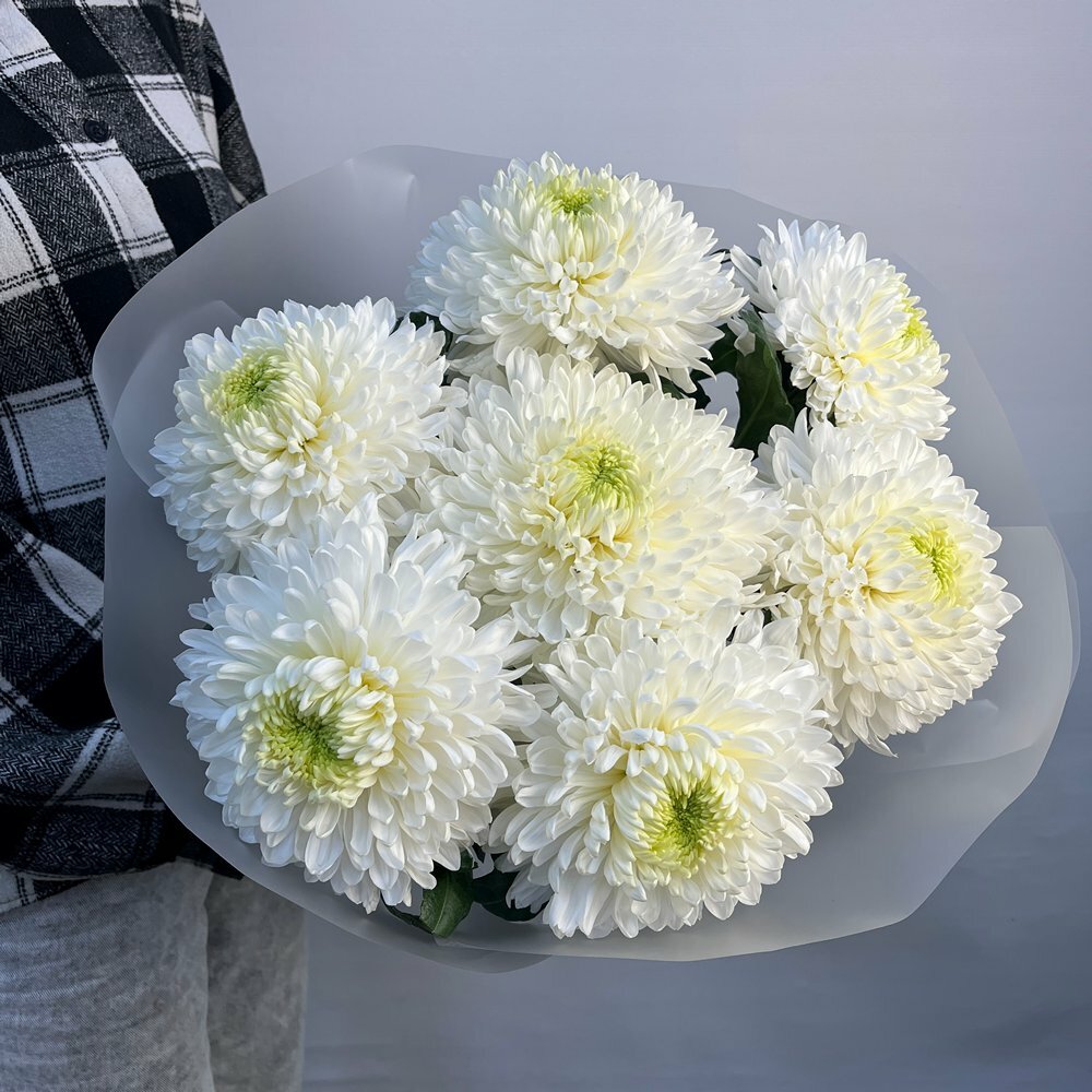 Монобукет 21 - хризантема Магнум белая 7 шт