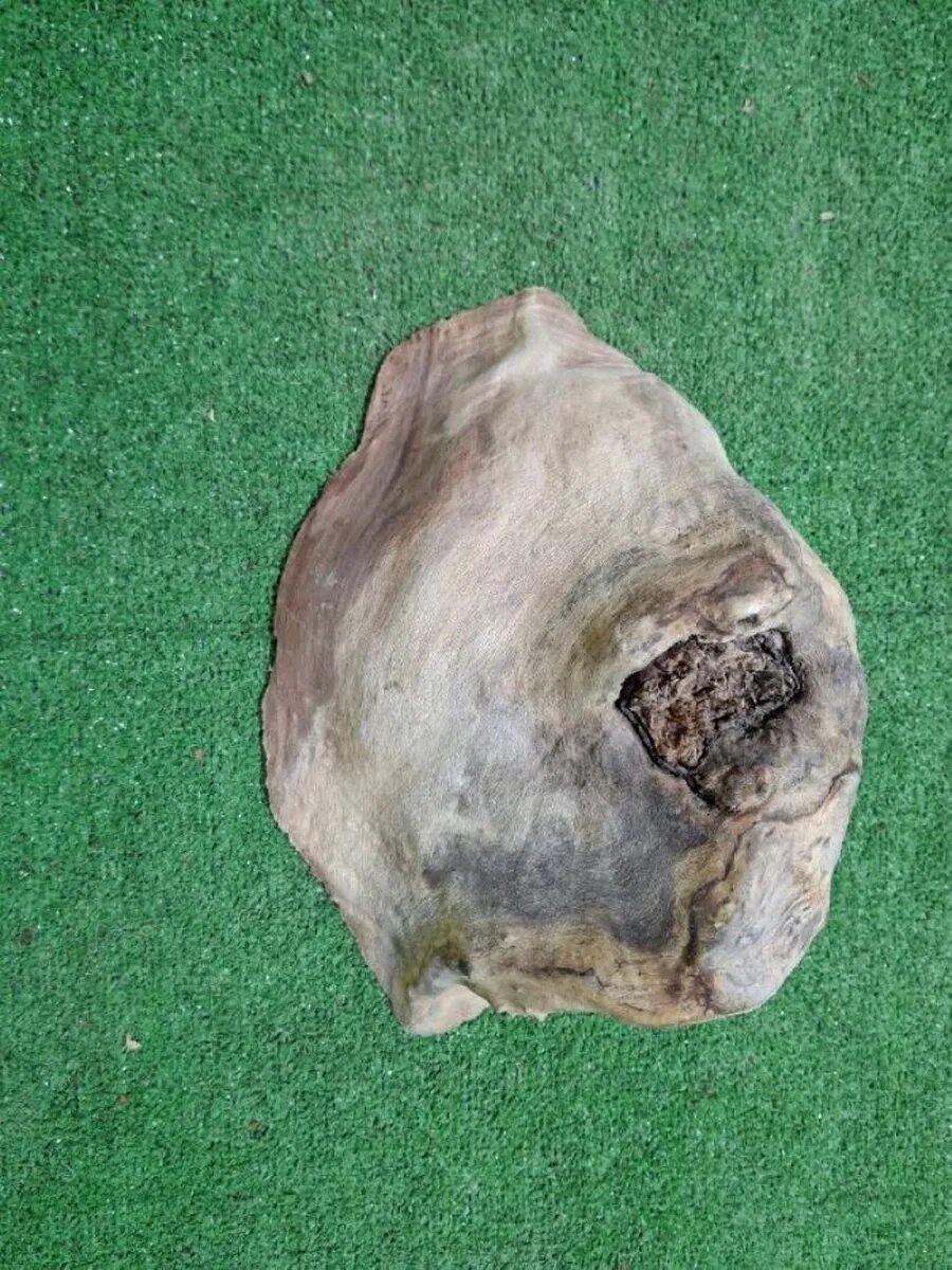 Заготовка для творчества тополь (330-200-15мм)