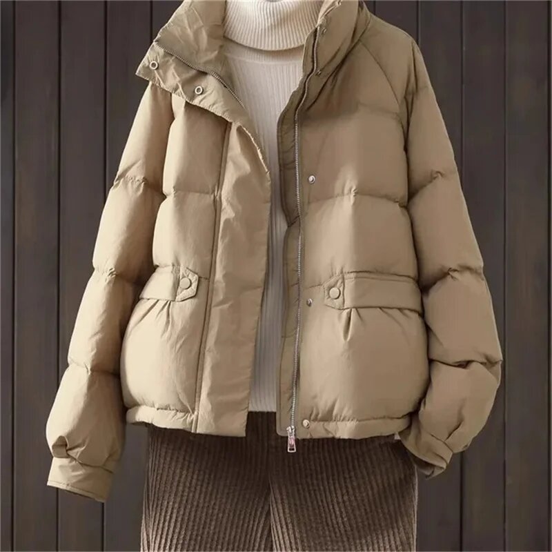 Парка ZenRoicSea