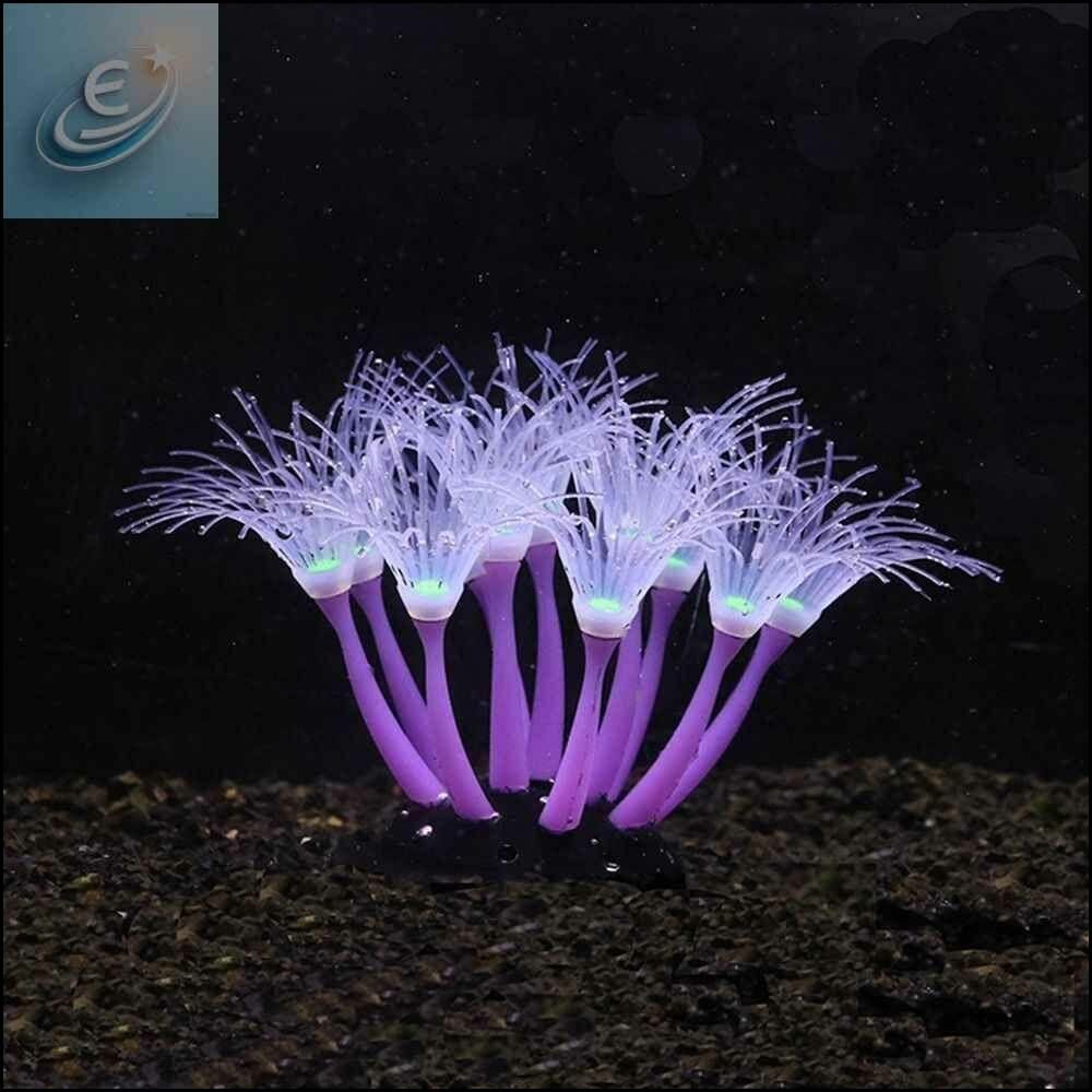 Пернатый коралл