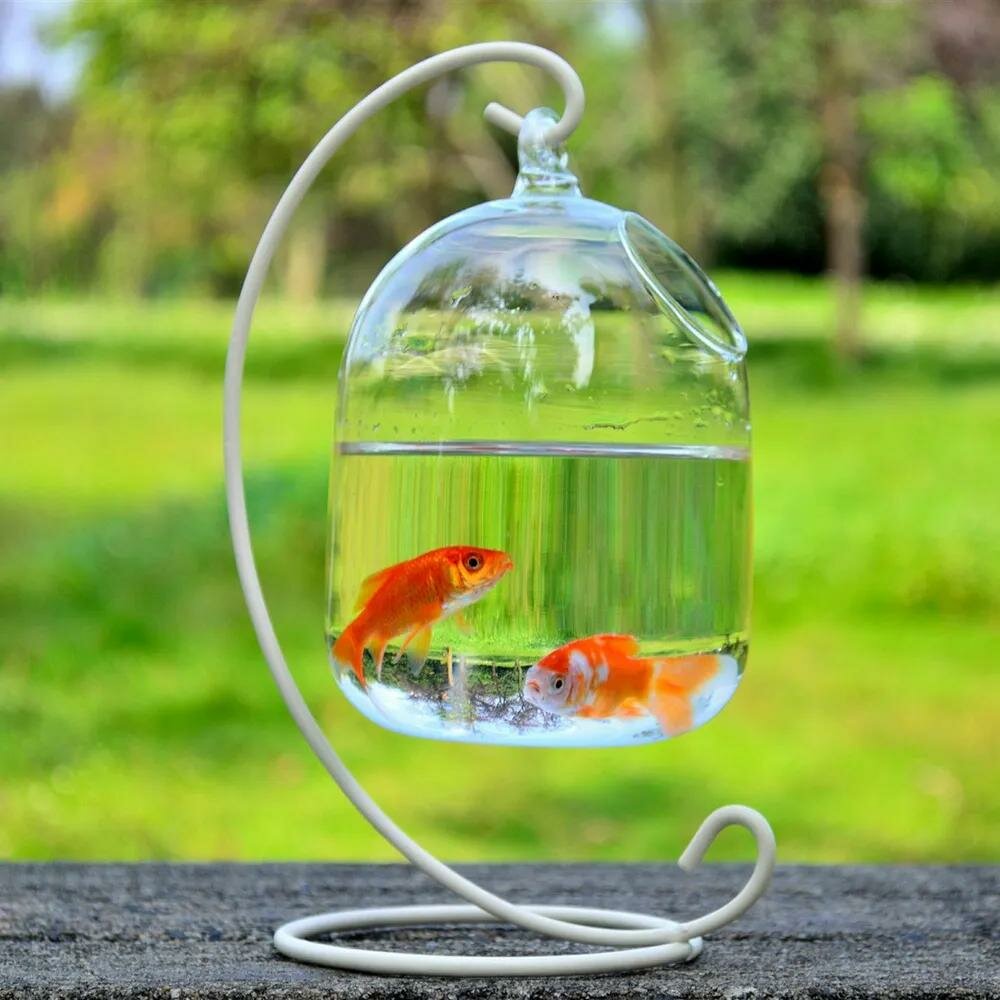 Аквариум Creative hanging glass vase fish tank из прозрачного стекла, ручной работы, для дома, высота бутылки 15 см, ширина 10 см, высота подставки 23 см, вес 200 г, материал боросиликатное стекло, техника ртутьевое blowing, цвет прозрачный, в комплект