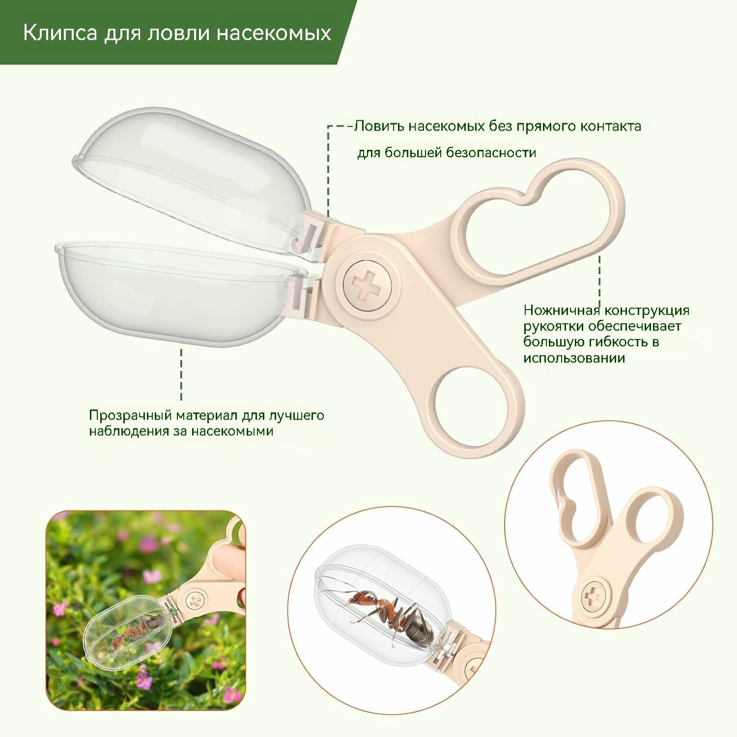 Ферма бабочек — фото 1