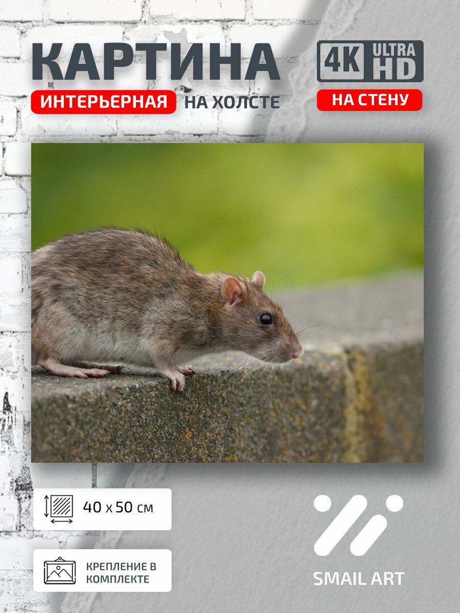 Картина на холсте интерьерная 40 на 50 на стену Тротуаре Mood для спальни атмосфера декор