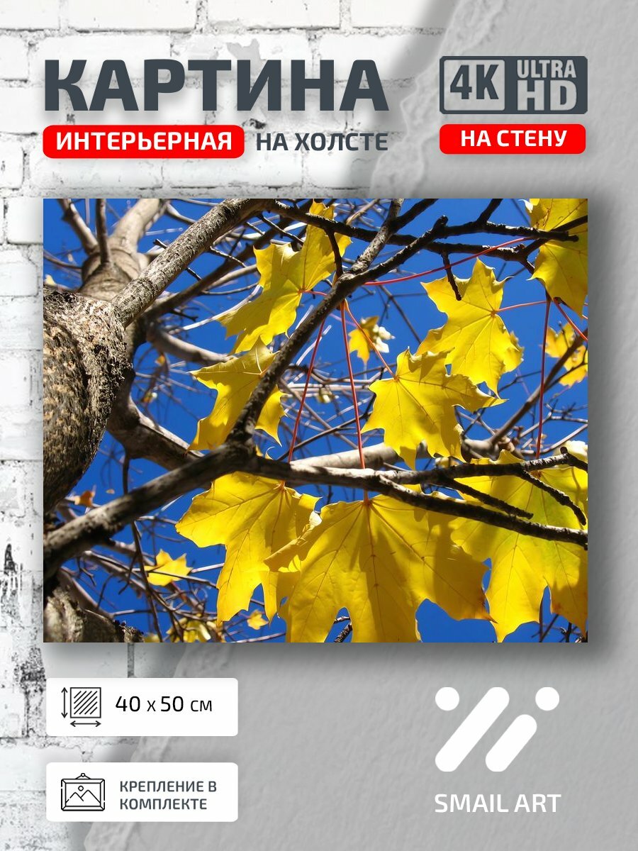 Картина на холсте интерьерная 40 на 50 на стену Клён Mood для кабинета атмосфера интерьер