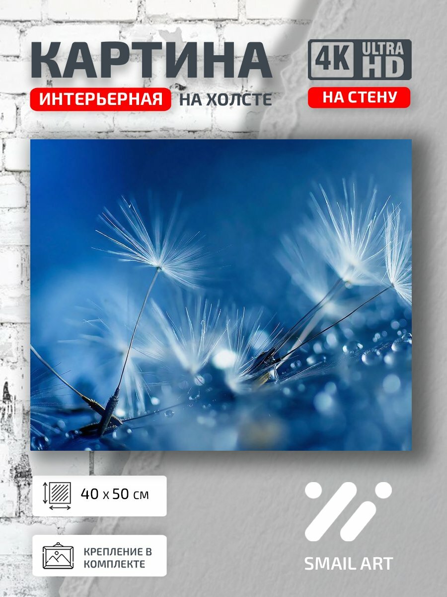 Картина на холсте интерьерная 40 на 50 на стену Капли Macro для студии макро интерьер декор