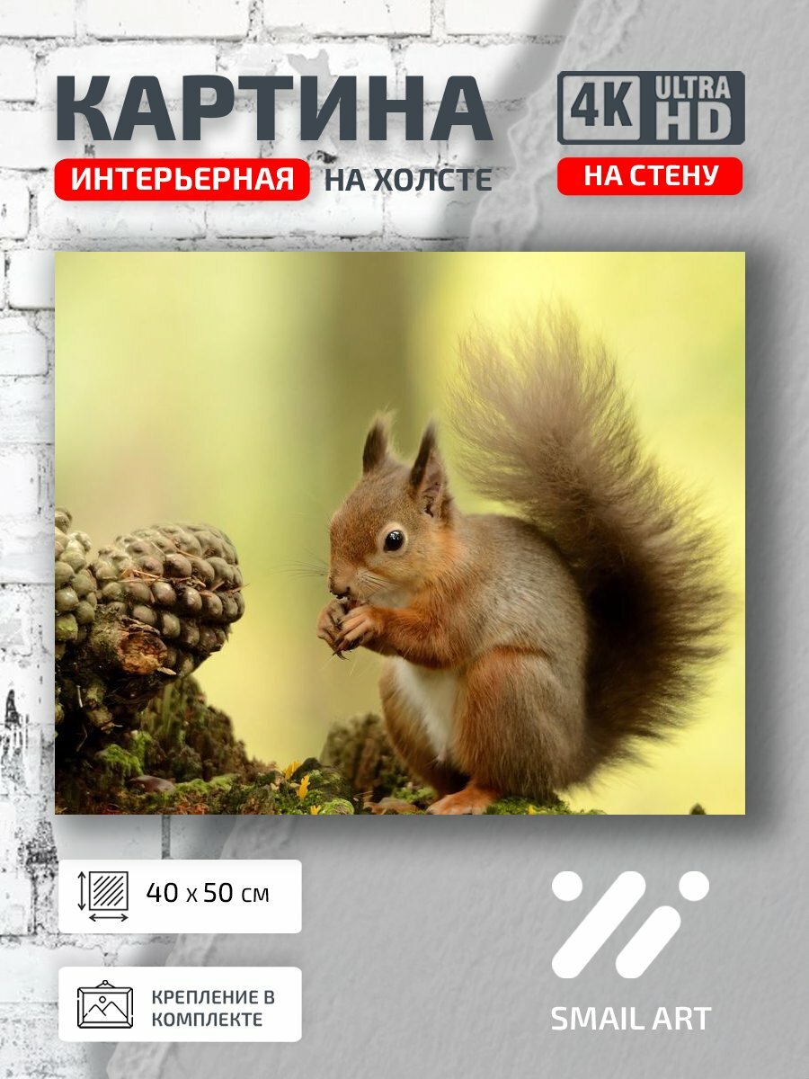 Картина на холсте интерьерная 40 на 50 на стену Белочка Mood для спальни атмосфера интерьер