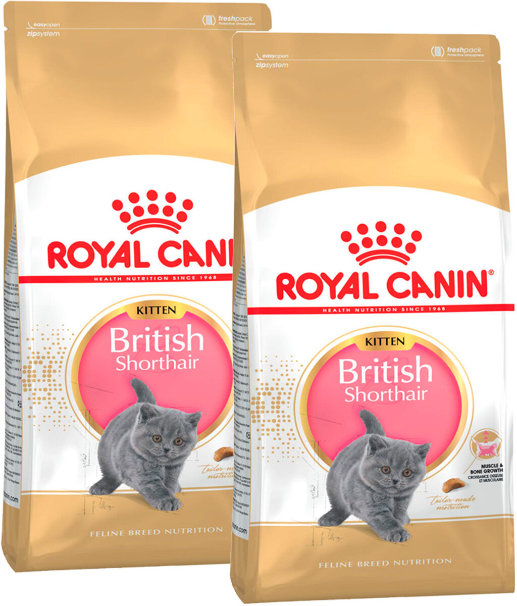 Корм сухой Royal Canin British Shorthair Kitten 34 для британских короткошерстных котят, 2 кг х 2 шт
