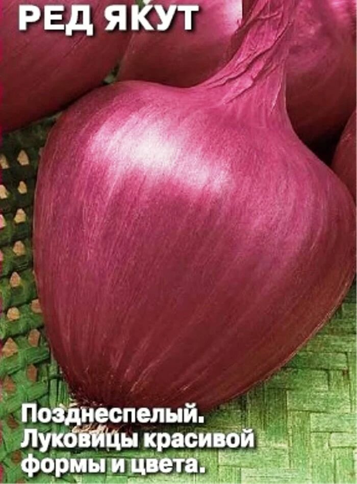 Коллекционные семена лука репчатый Ред Якут