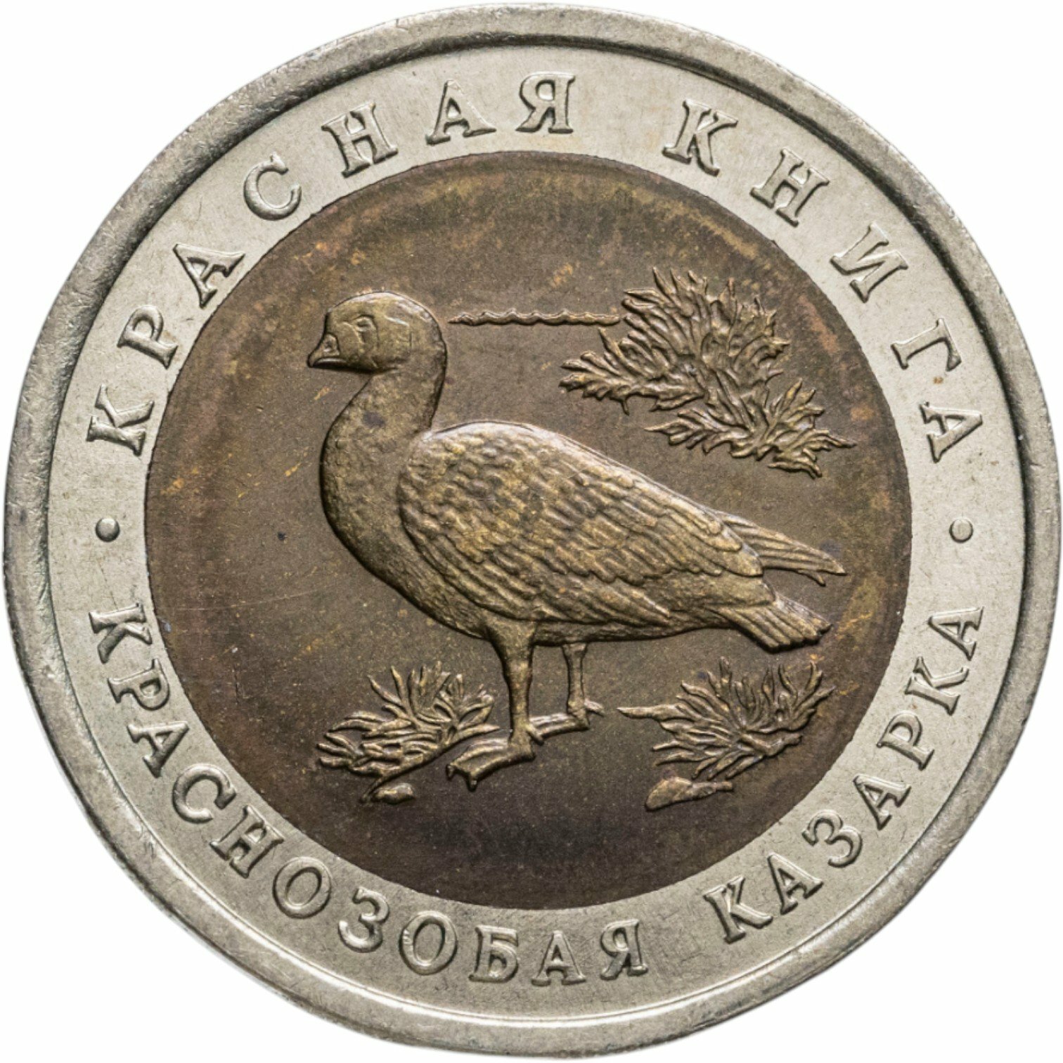 10 рублей 1992 ЛМД краснозобая казарка, Биметалл, в сохранности XF-AU