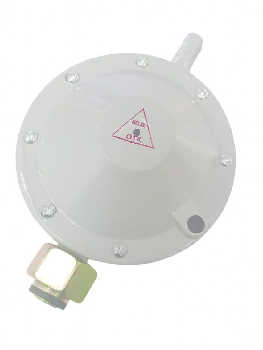 Регулятор (редуктор) давления (газ) РДСГ 1-1.2