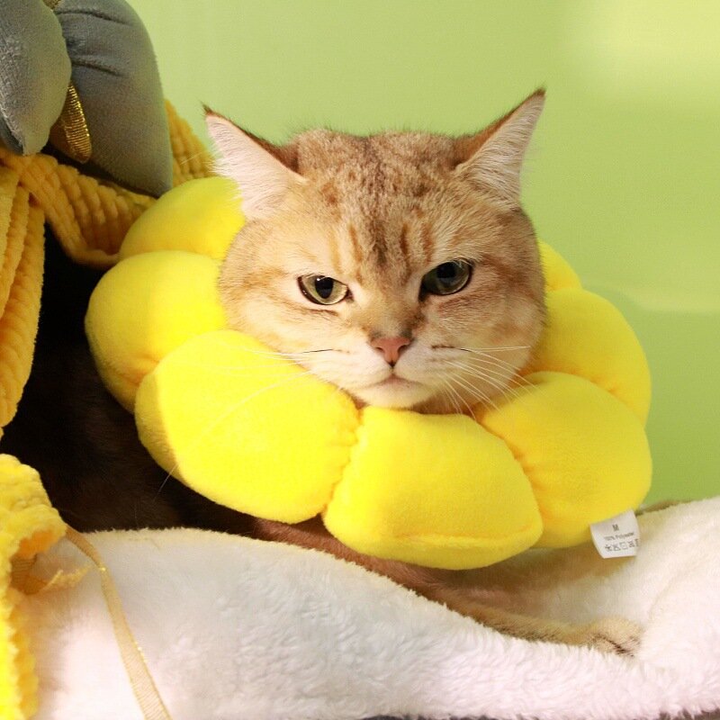 Ошейник Элизабет против царапин и укусов кошек. Элизаветинский круг_L